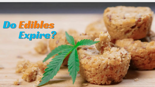 Do Edibles Expire? Everything You Need to Know - Read Here - Siesta G ...