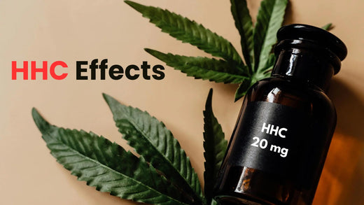 Exploring HHC Effects: Benefits, Side Effects, and Everything In – Siesta G