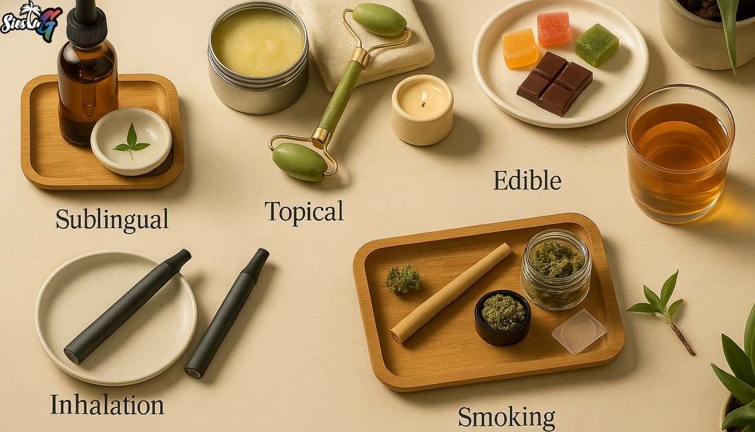 Different Methods of Cannabis Intake: Find Your Best Consumption Style ...